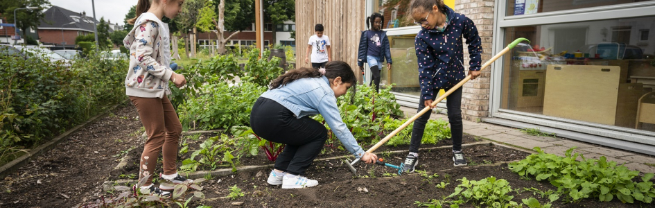 Hoe zet je de stap van de Lekker naar Buiten!-bijdrage naar het programma Gezonde School? | Jong ...